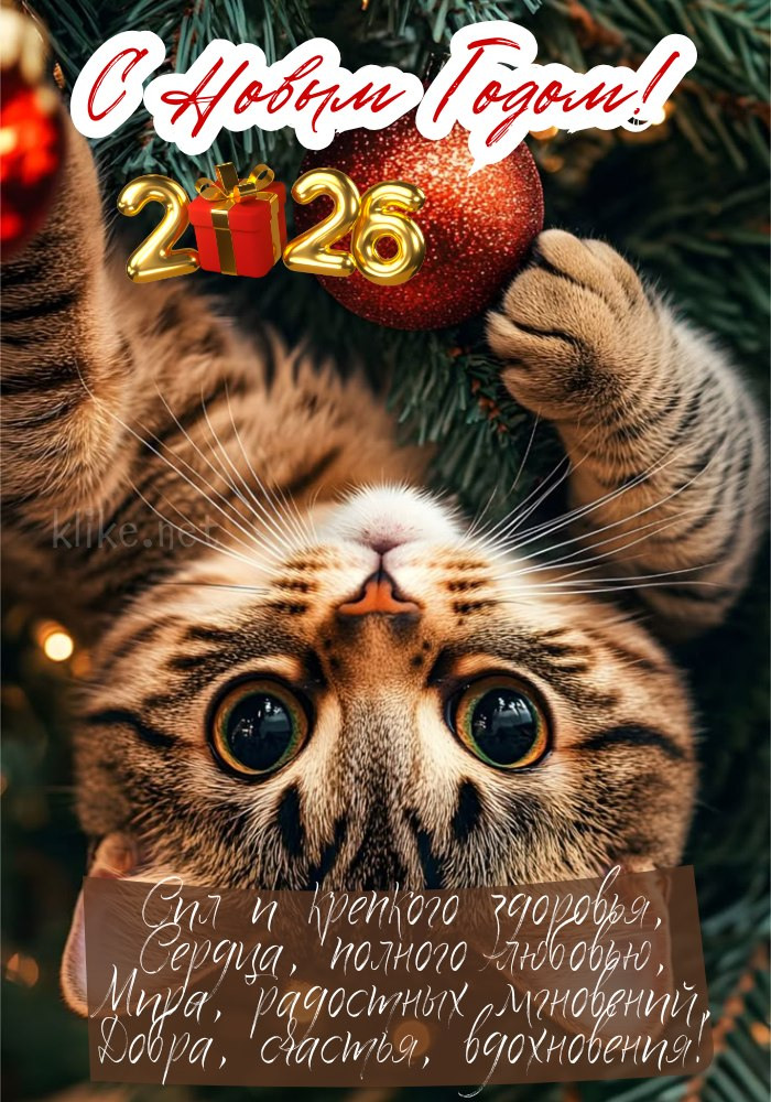 Картинки с Новым годом 2026 (48+ открыток)